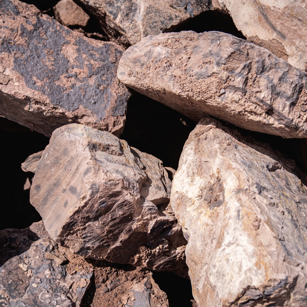 COLDSTREAM FEATURE ROCKS | Daisy's Garden Supplies